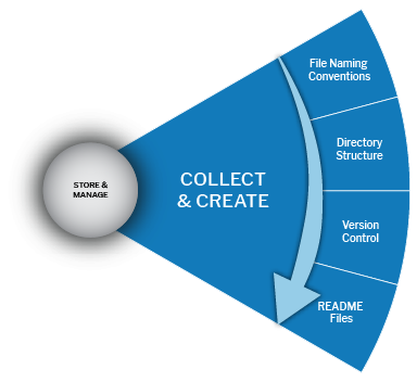 Collect & Analyze | Data Management